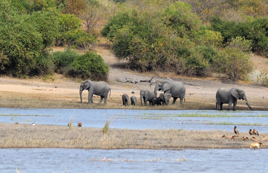 Kavango-Zambezi KAZA TFCA Summit | UPSC - IAS Toppers